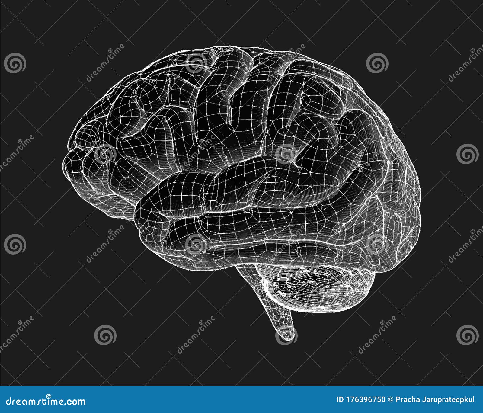 Brain Drawing with Wireframe Illustration Stock Vector - Illustration ...
