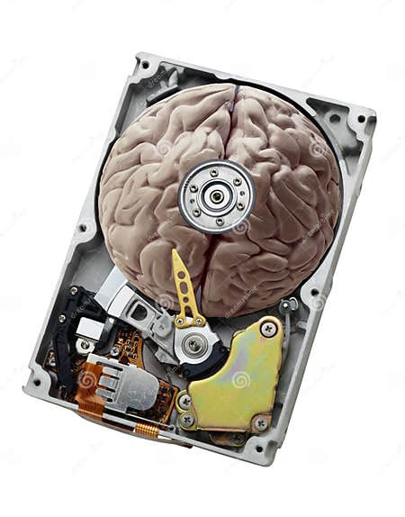 Brain Drive stock image. Image of drive, sata, bits, byte - 7517299