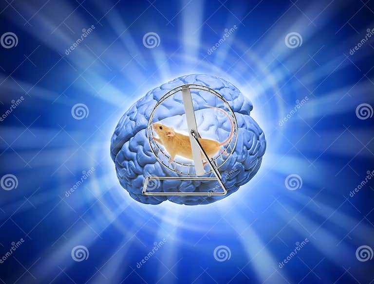 Brain Exercises Mouse Stress Stock Photo - Image of cognition, busy ...