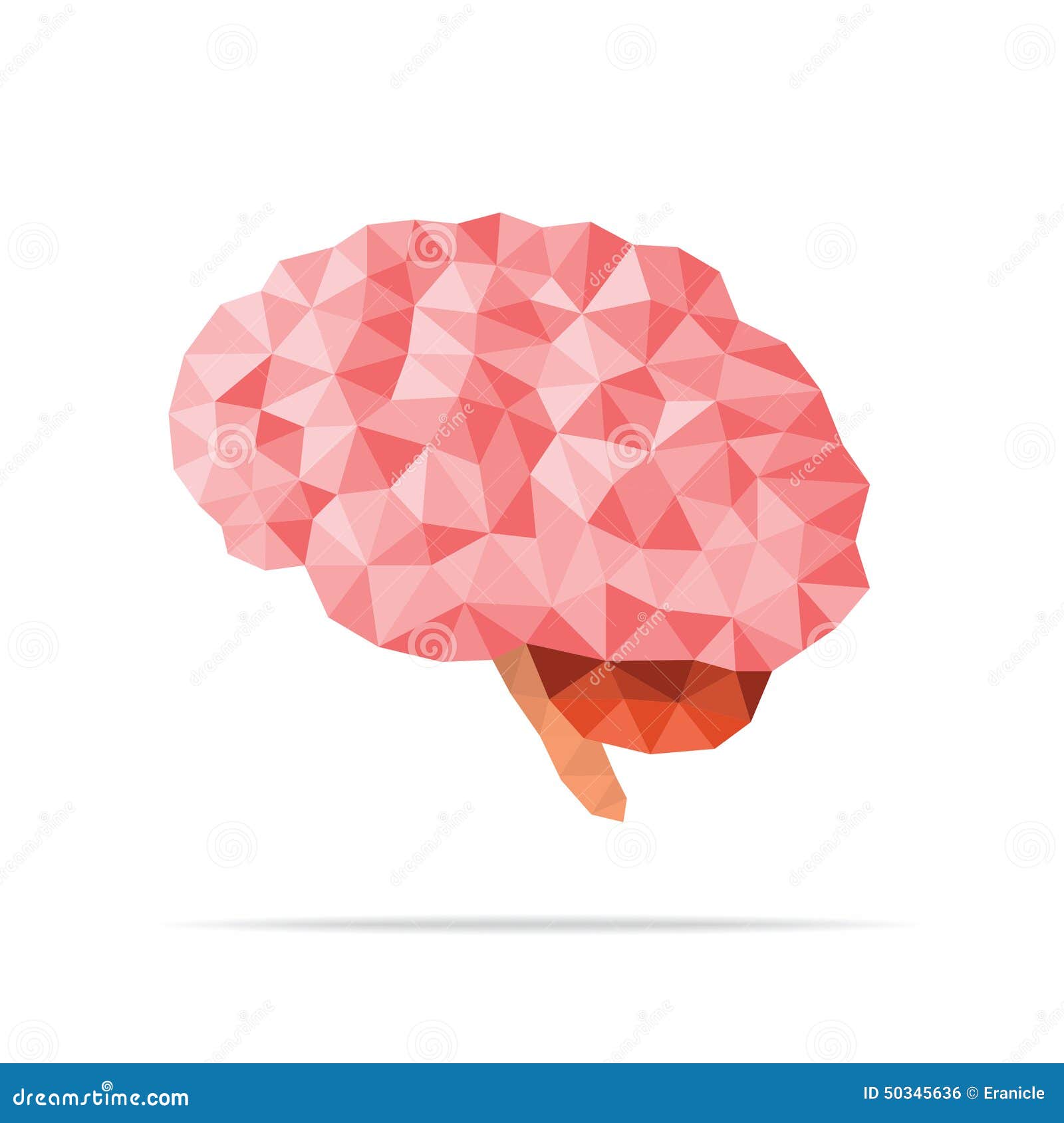 Brain faceted stock vector. Illustration of shape, polygon - 50345636