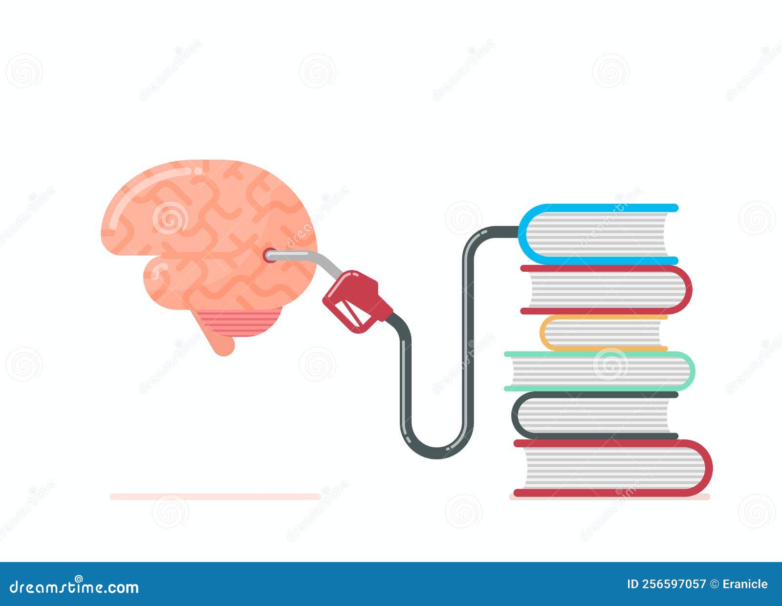 Brain Filling-up with New Knowledge Stock Vector - Illustration of ...