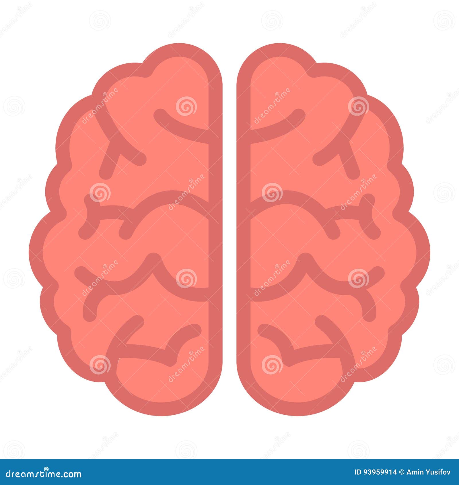 Brain Flat Line Icon. Vector Thin Pictogram Of Human Internal Organ ...