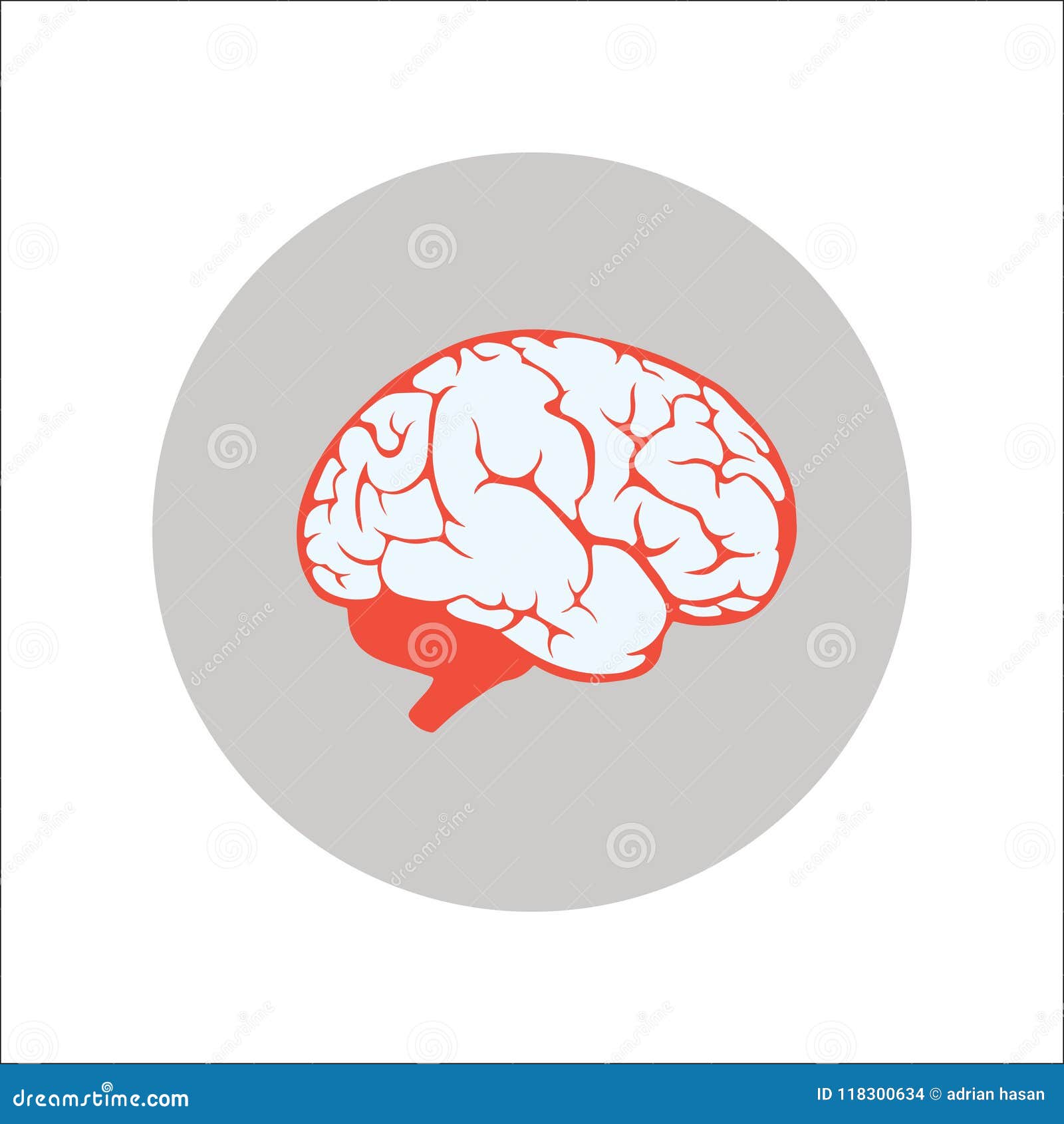 Brain Flat Line Icon. Vector Thin Pictogram Of Human Internal Organ ...