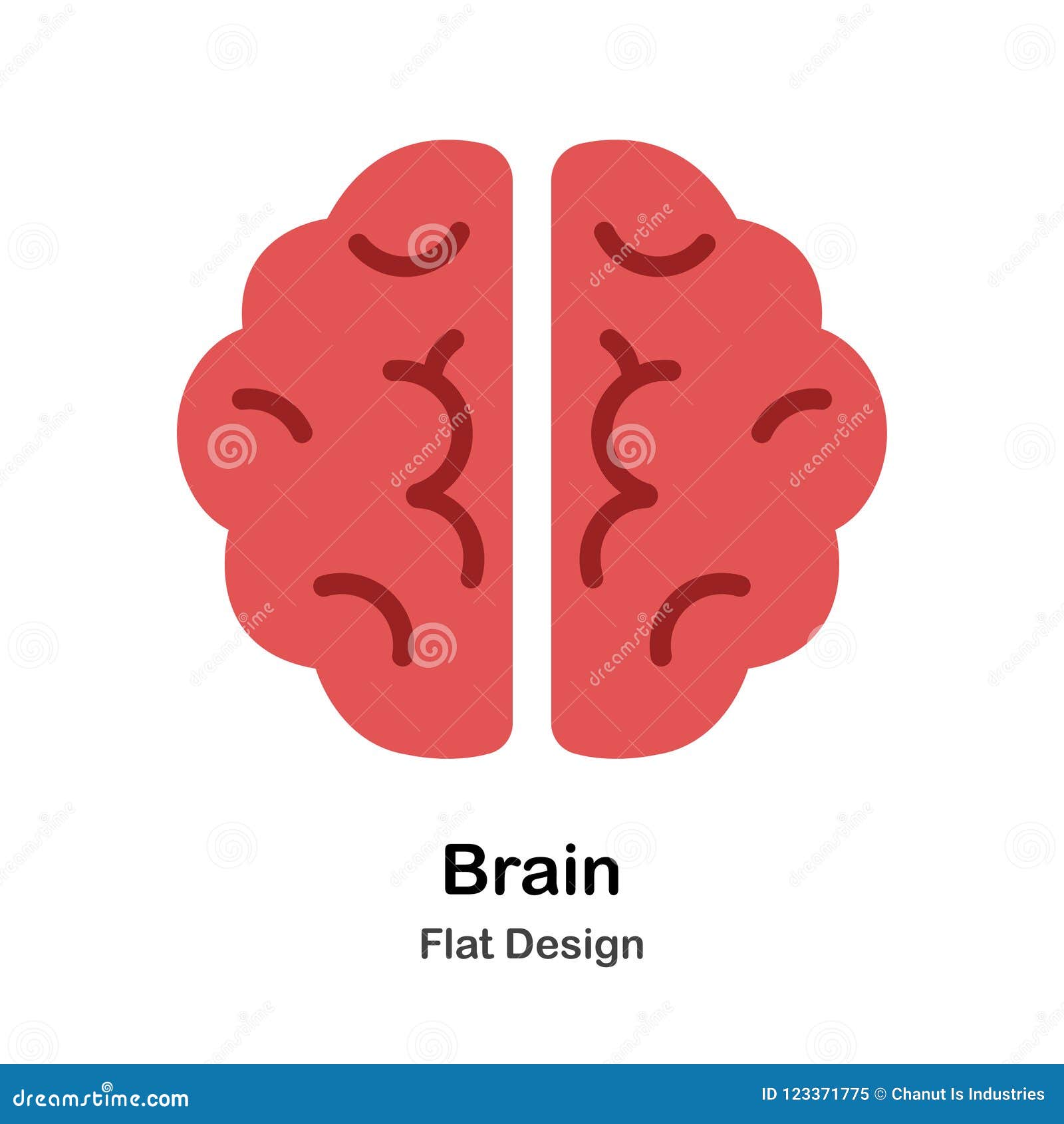 Brain Flat Illustration stock vector. Illustration of medicine - 123371775