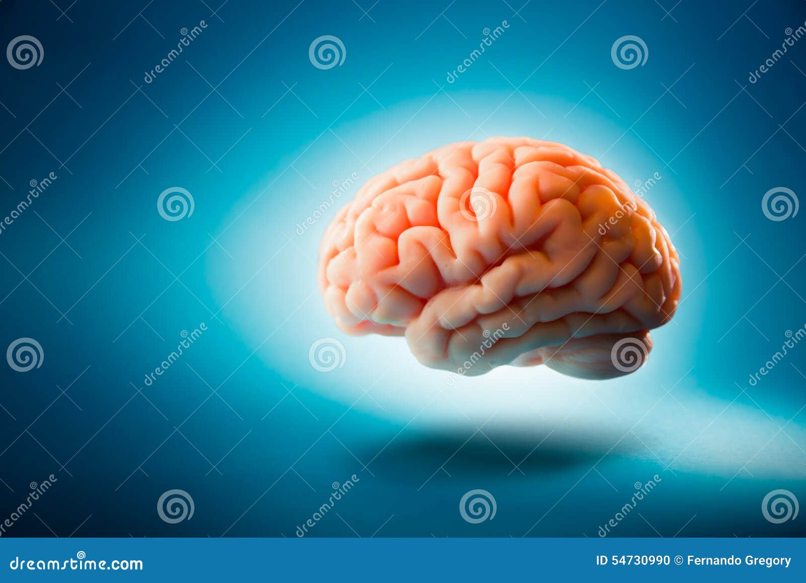 Brain Floating on a Blue Background / Selective Focus Stock Photo ...