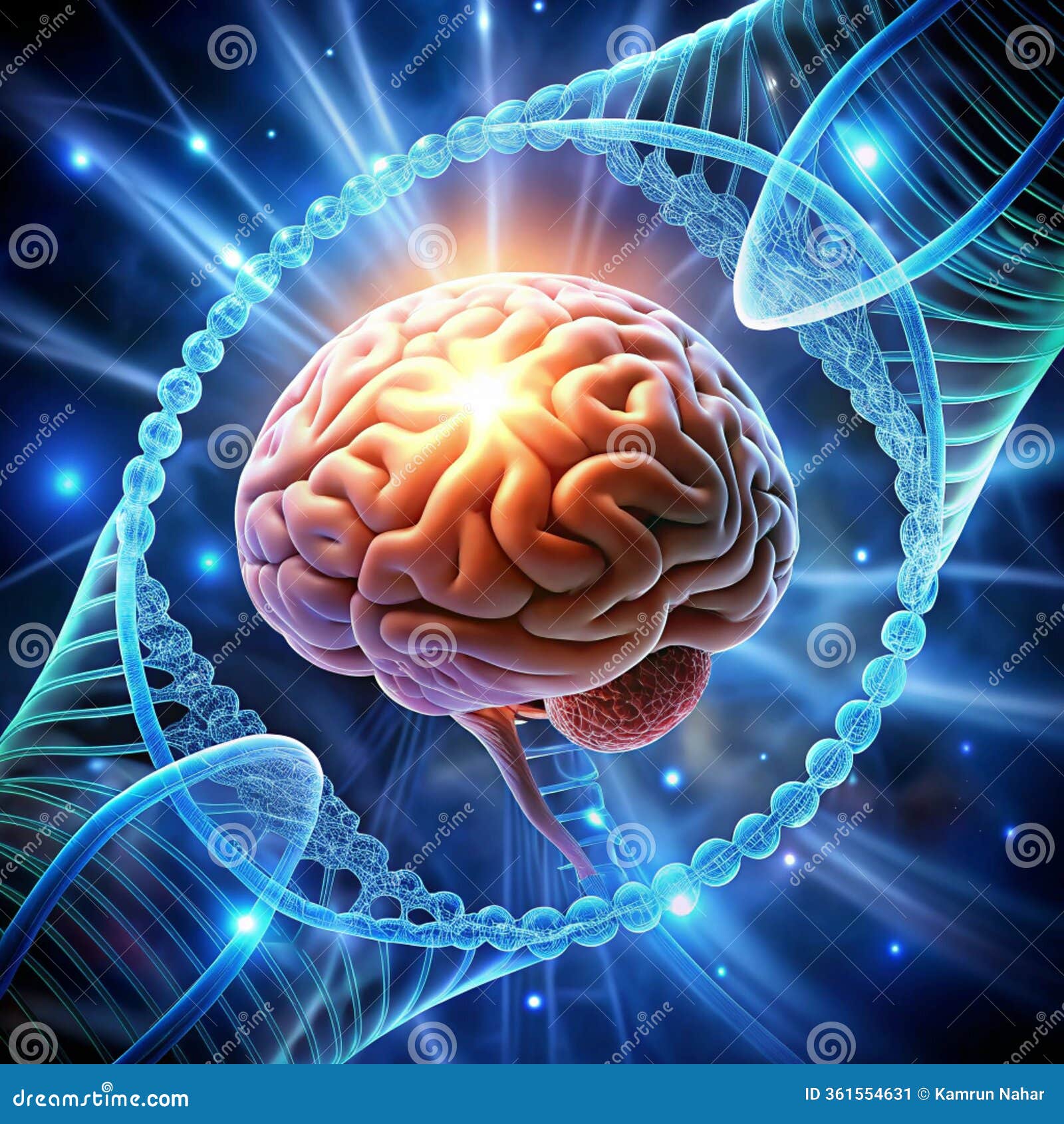 Brain with a Floating DNA Helix Around it Stock Illustration ...