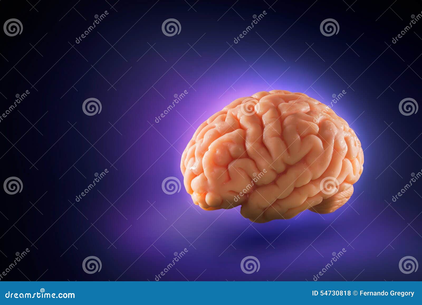 181 Purple Neuron Stock Photos - Free & Royalty-Free Stock Photos from ...