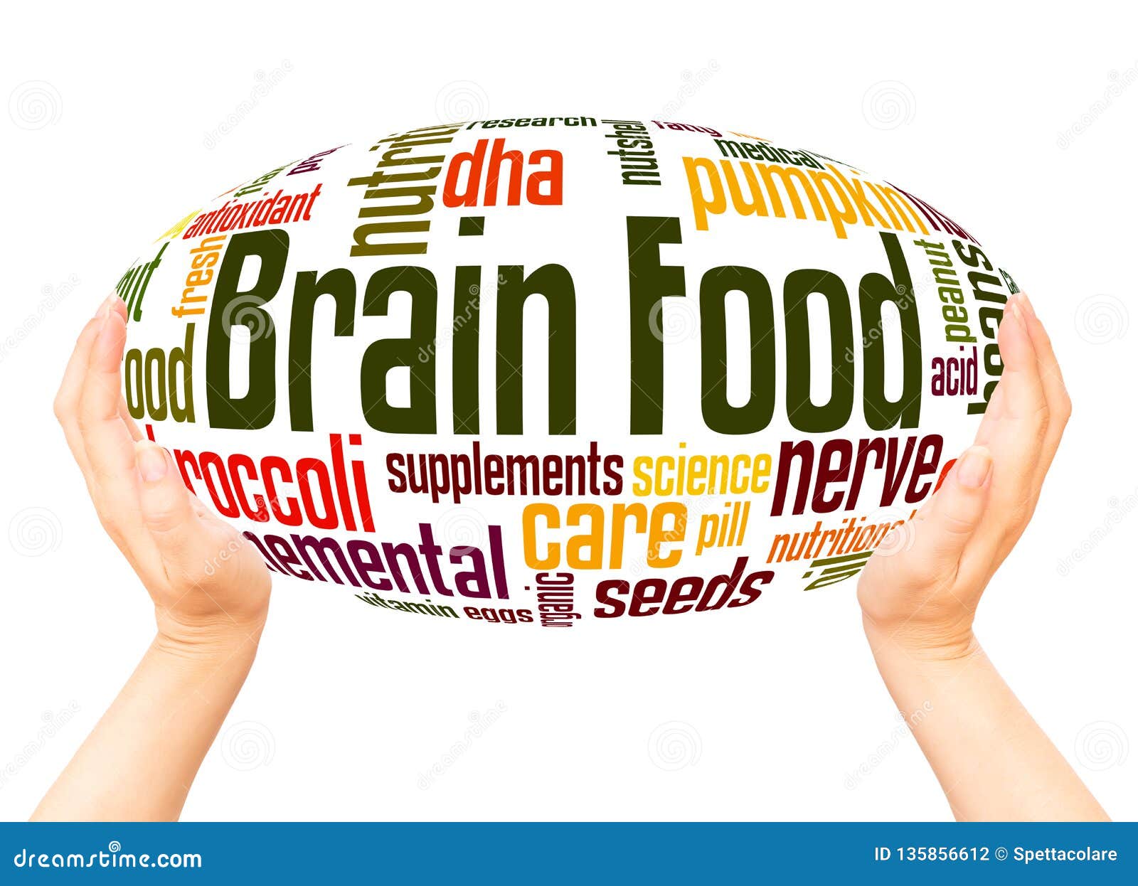 Brain Food Vector Flat Infographics | CartoonDealer.com #62541054