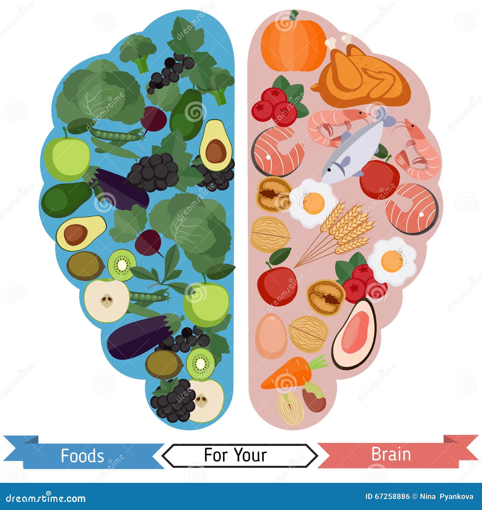 Brain Foods concept stock vector. Illustration of lifestyle - 67258886