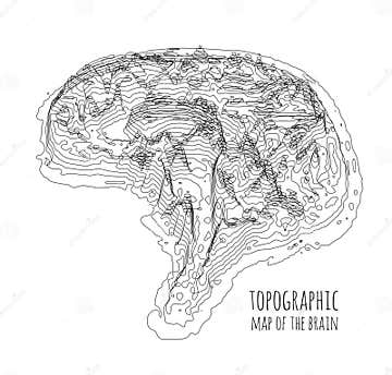 The Brain in the Form of a Topographic Map. the Concept of Modern ...