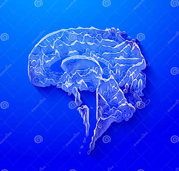 The Brain in the Form of a Topographic Map. the Concept of Modern ...