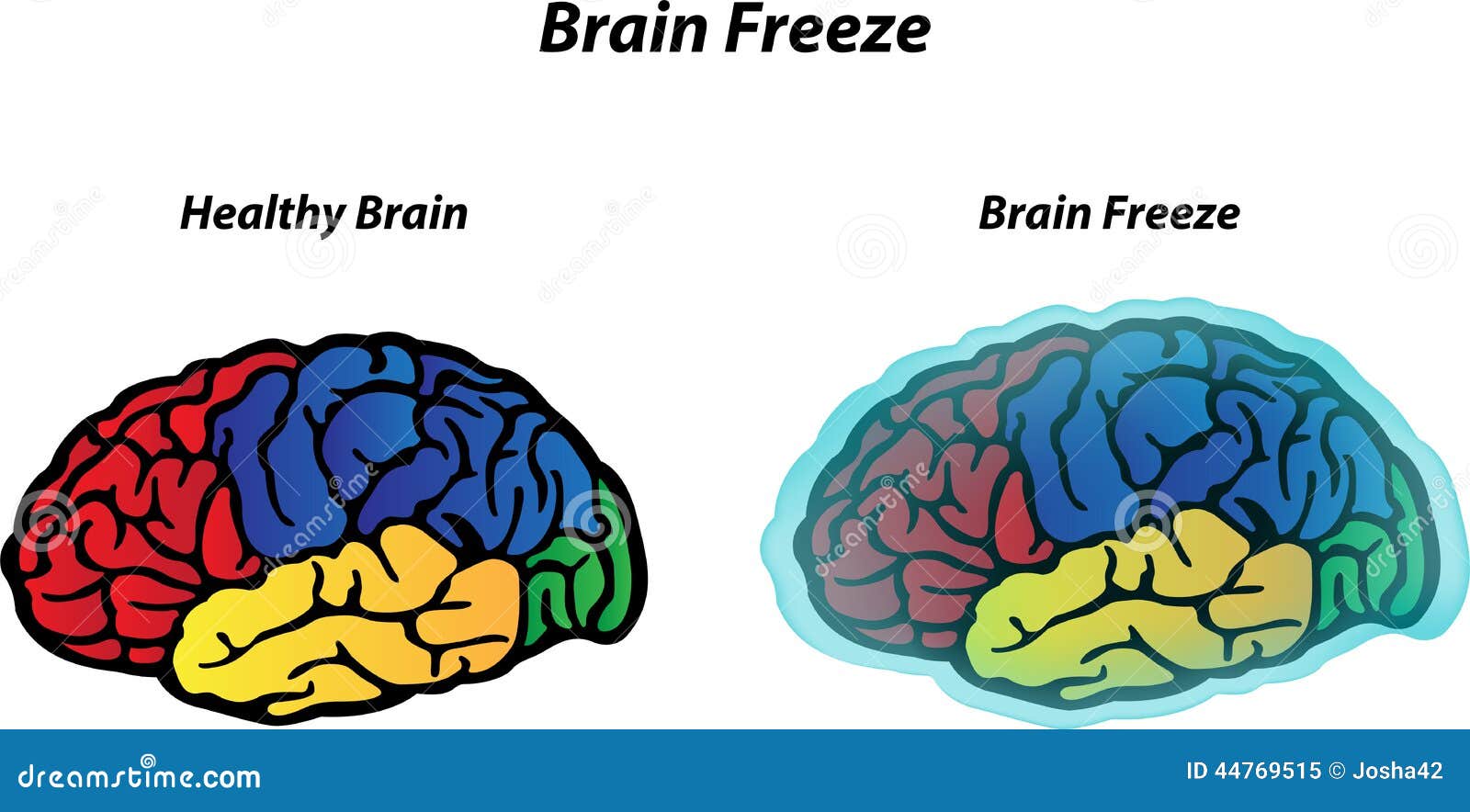 Brain Freeze stock vector. Illustration of anatomy, brain - 44769515