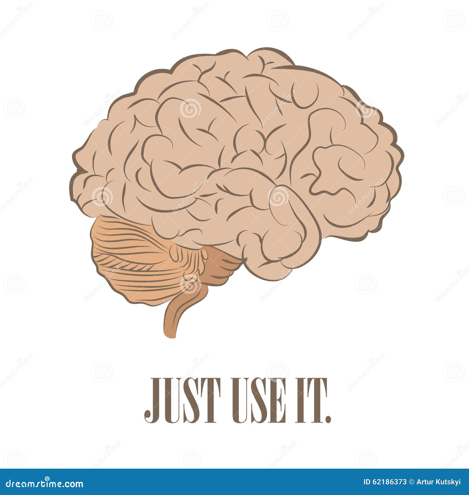 Brain front. Just use it stock vector. Illustration of brainstorming ...