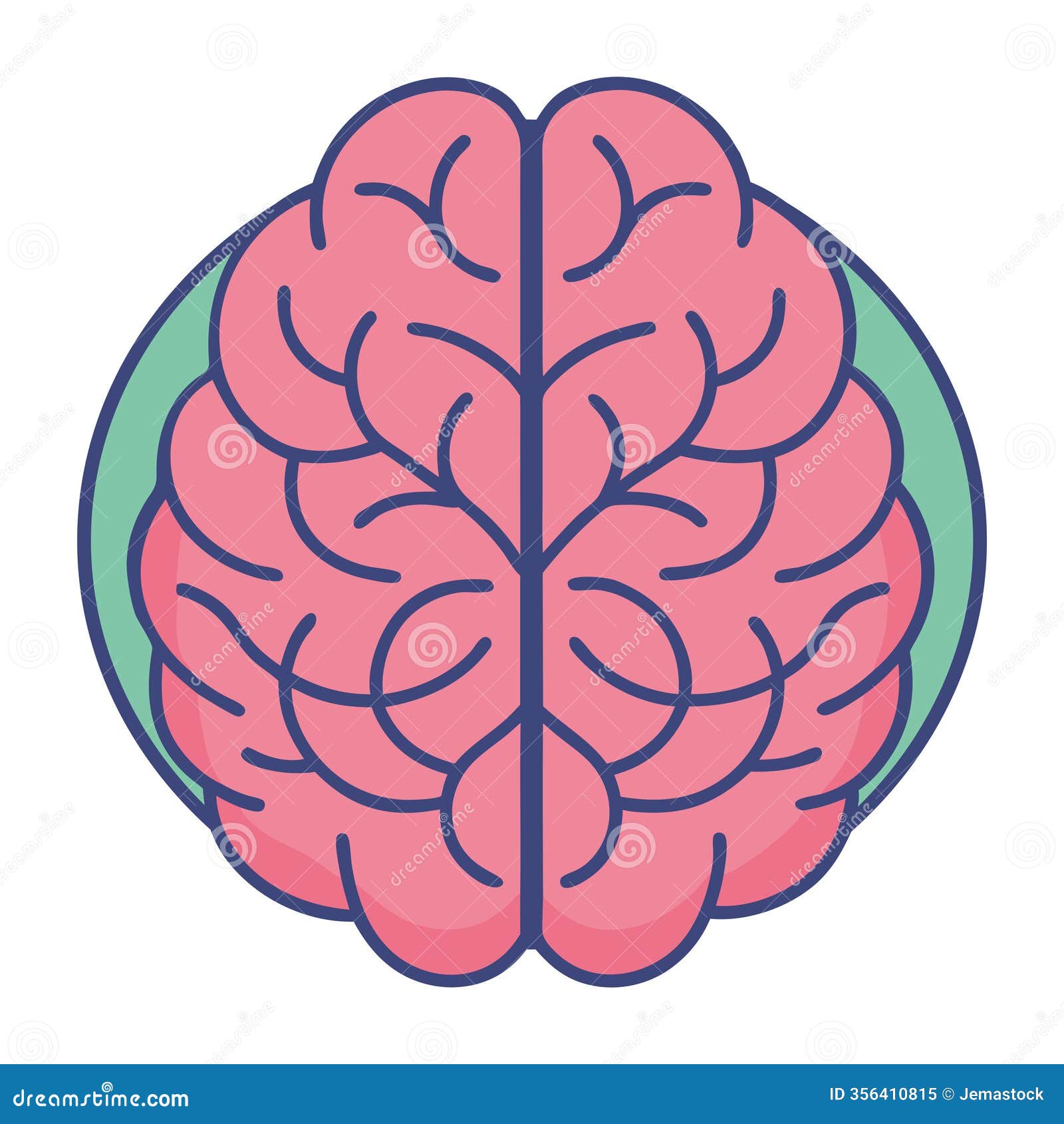 Brain Front View Illustration Stock Illustration - Illustration of ...