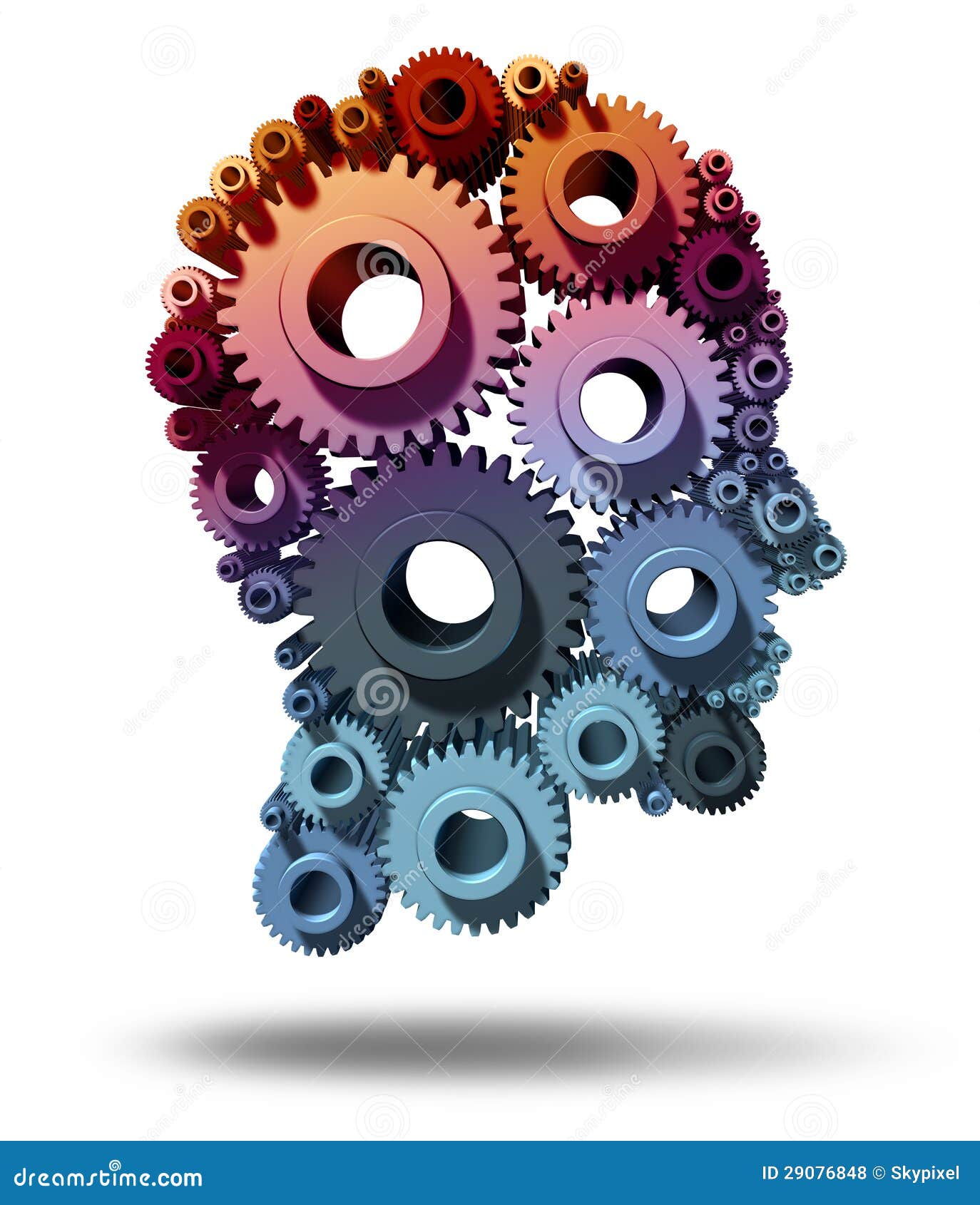 Brain Function, Human Brain Anatomy With Basal Ganglia, Cortex, Brain ...
