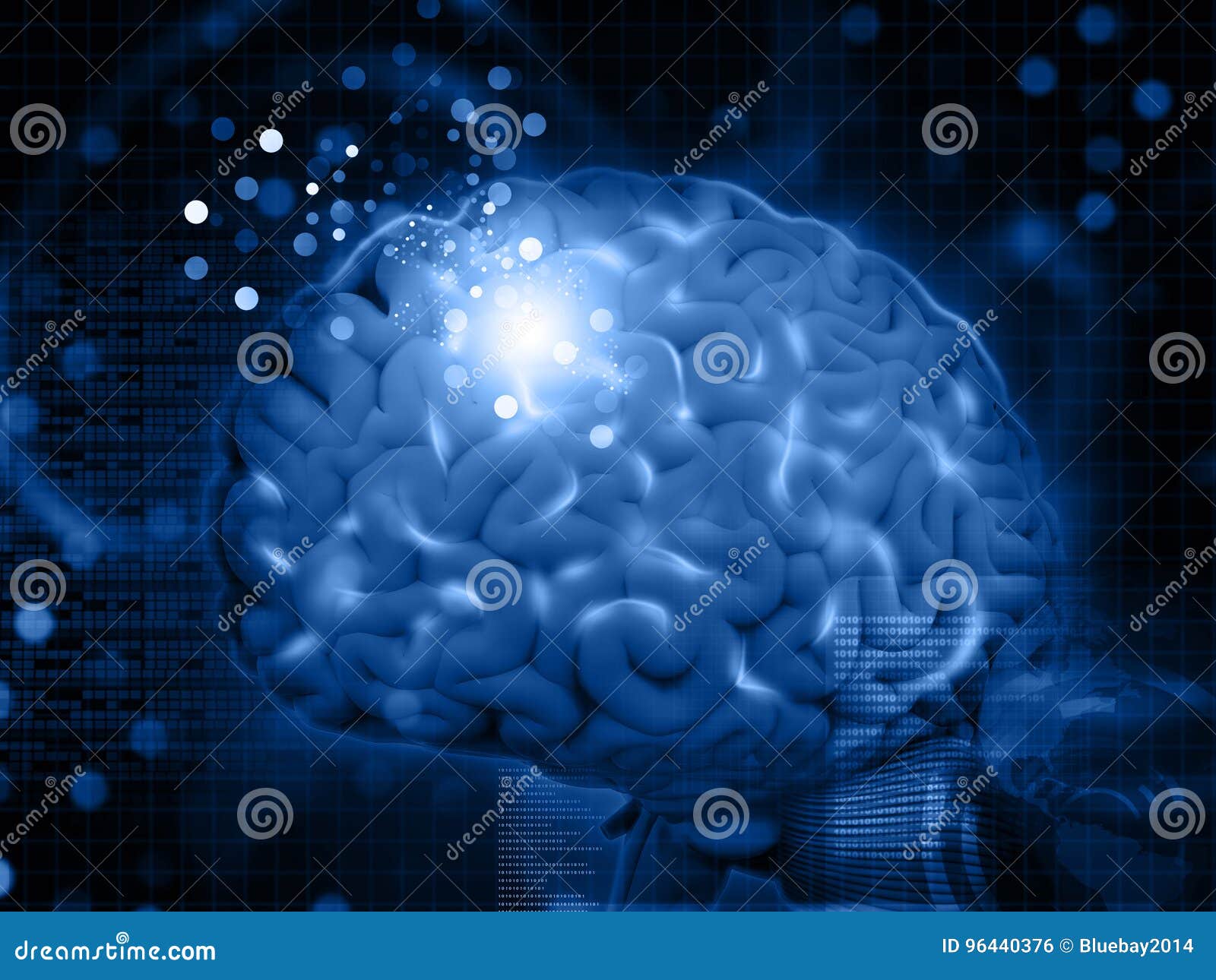 Brain Functions Vector Illustration. Labeled Explanation Organ Parts ...