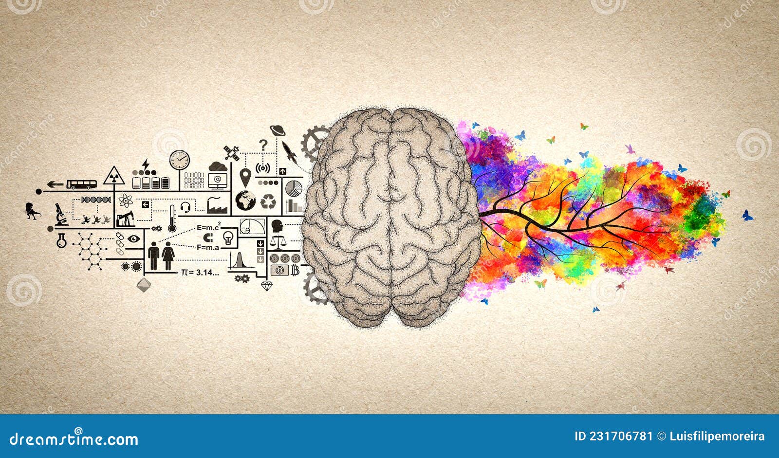 Brain Functions Vector Illustration. Labeled Explanation Organ Parts ...