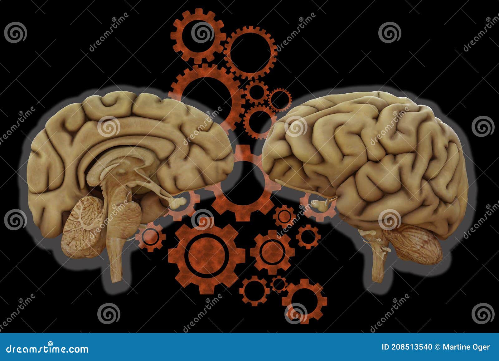 Brain gear stock illustration. Illustration of neurology - 208513540