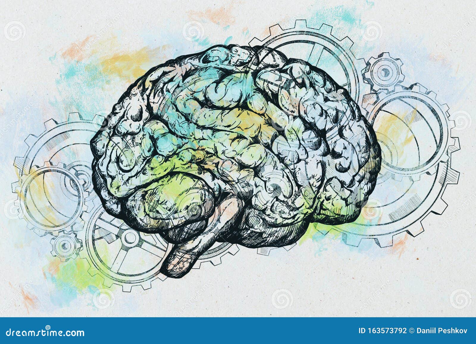 Brain and Gears Outline Sketch Stock Illustration - Illustration of ...