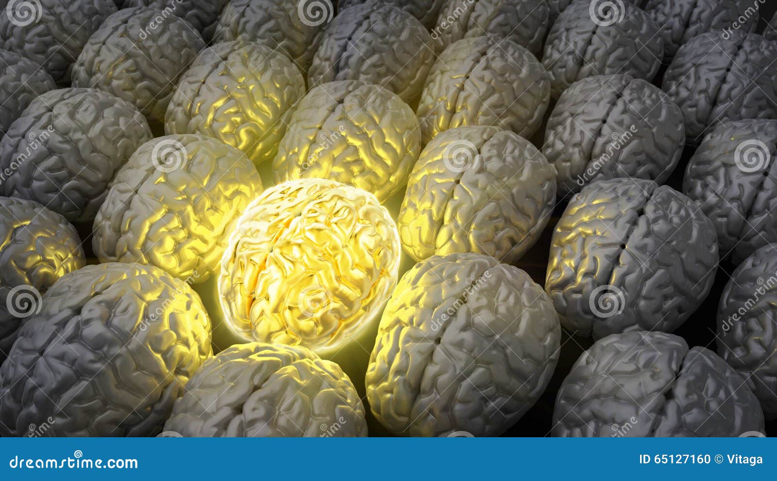 Brain of a genius stock photo. Image of medicine, biology - 65127160