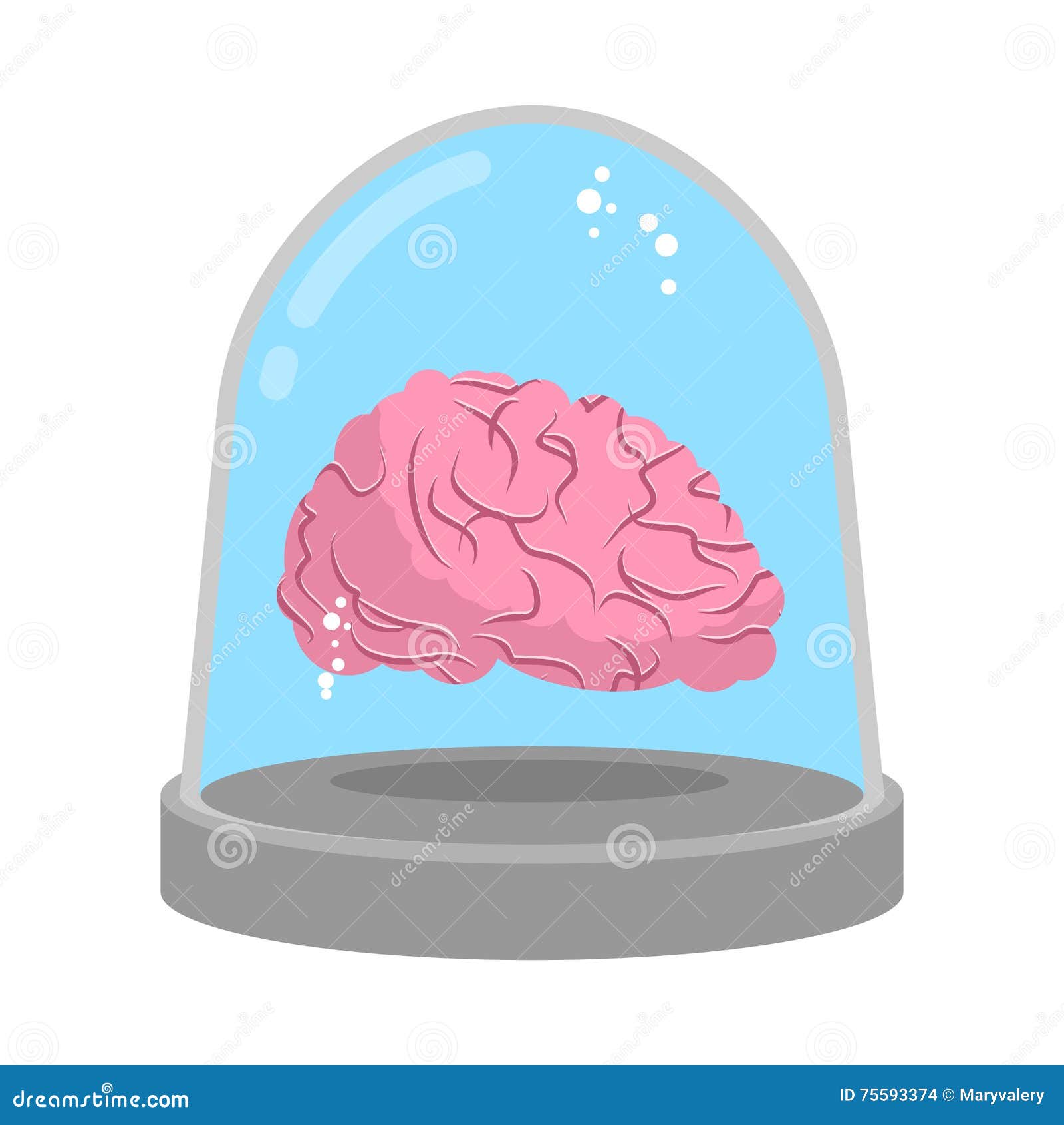 Brain in Glass Bell. Laboratory Research. Study of Mind. Stock Vector ...