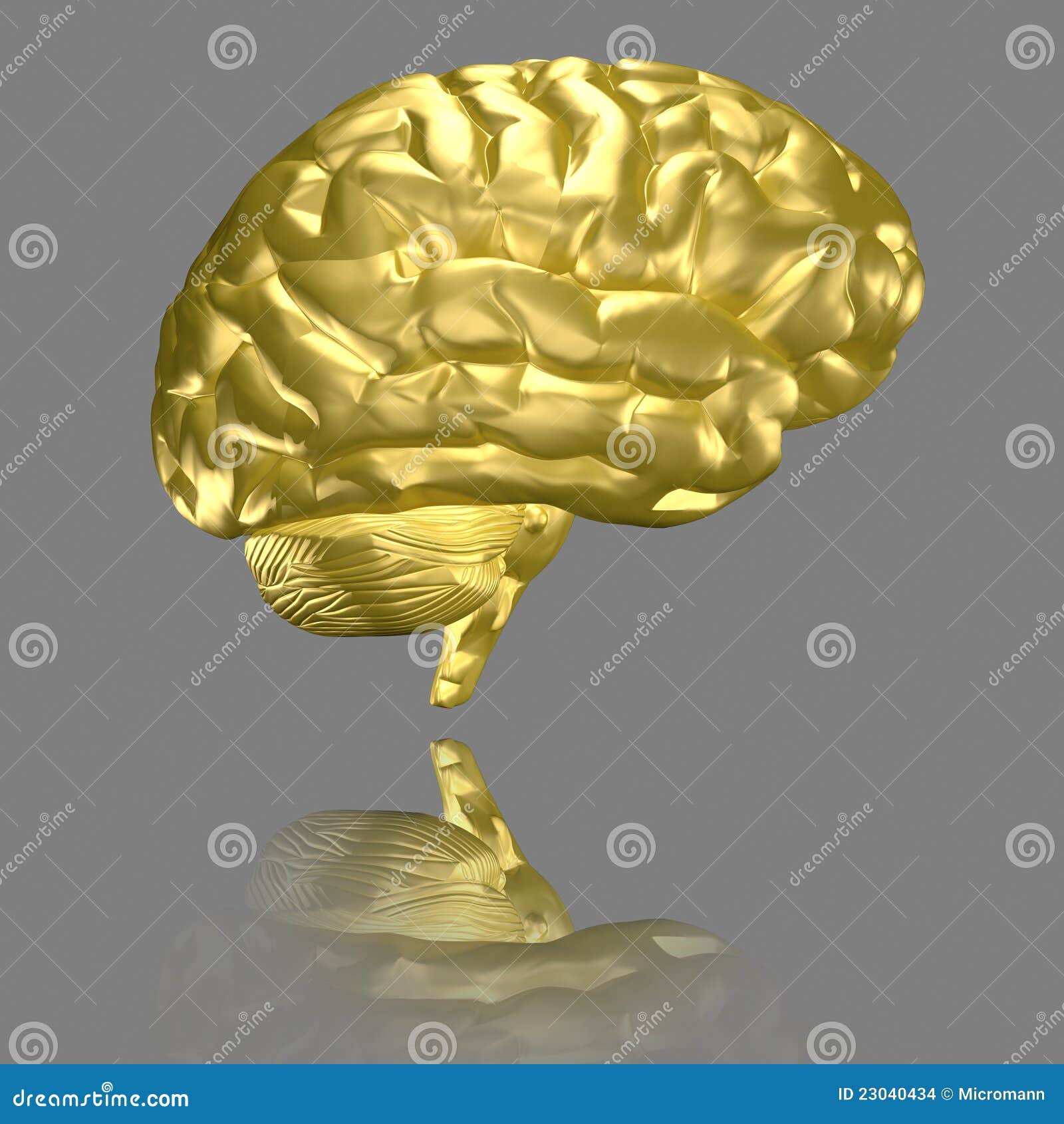 Brain - gold stock illustration. Illustration of render - 23040434