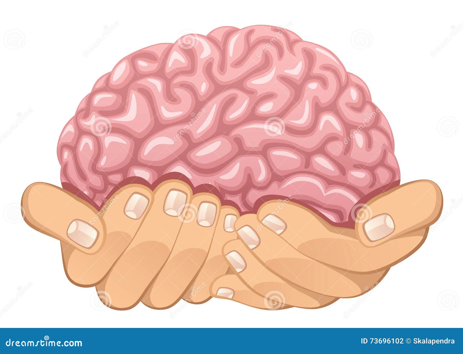 Brain in hand stock vector. Illustration of intellect - 73696102