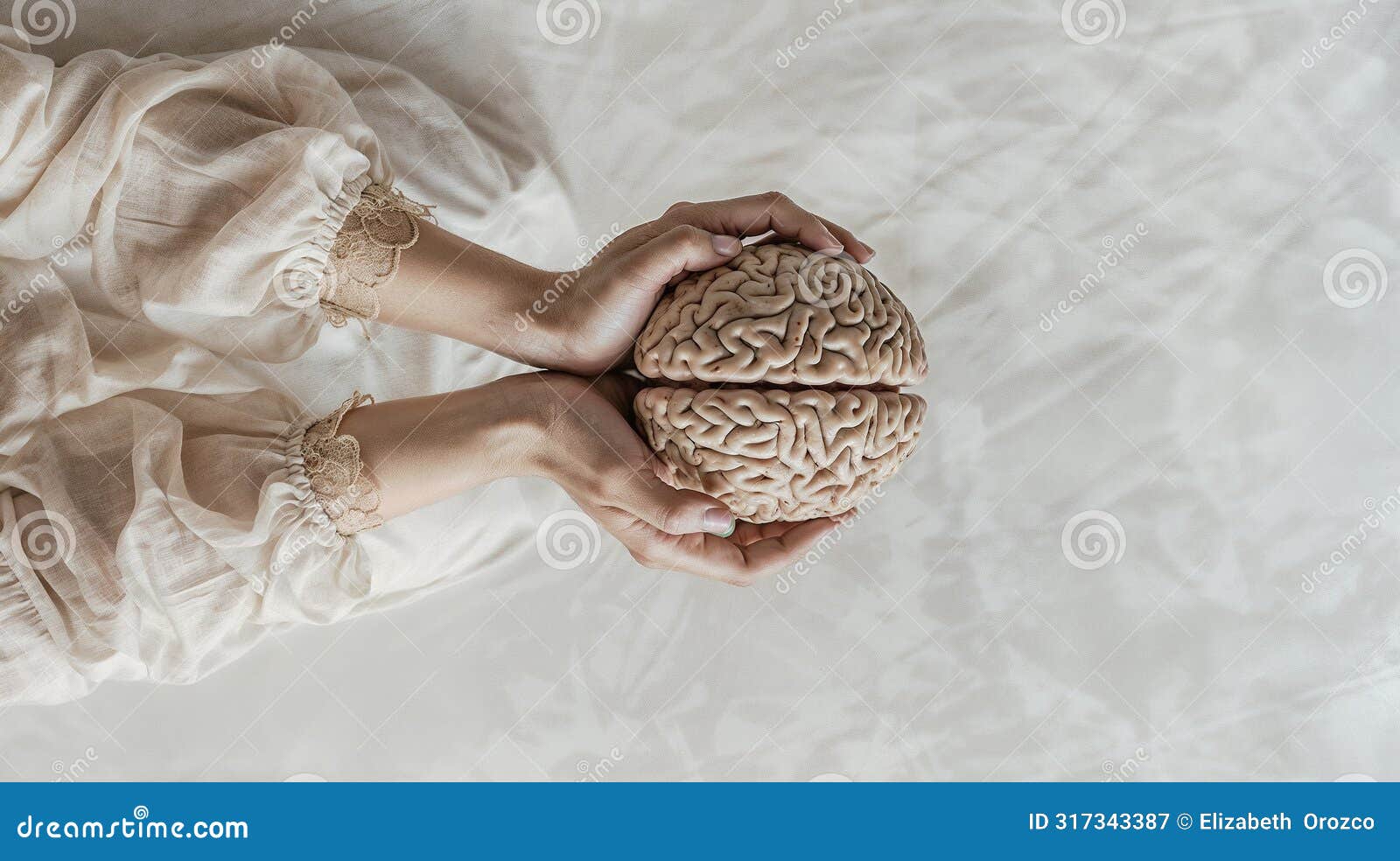 Brain in hands stock illustration. Illustration of sketch - 317343387