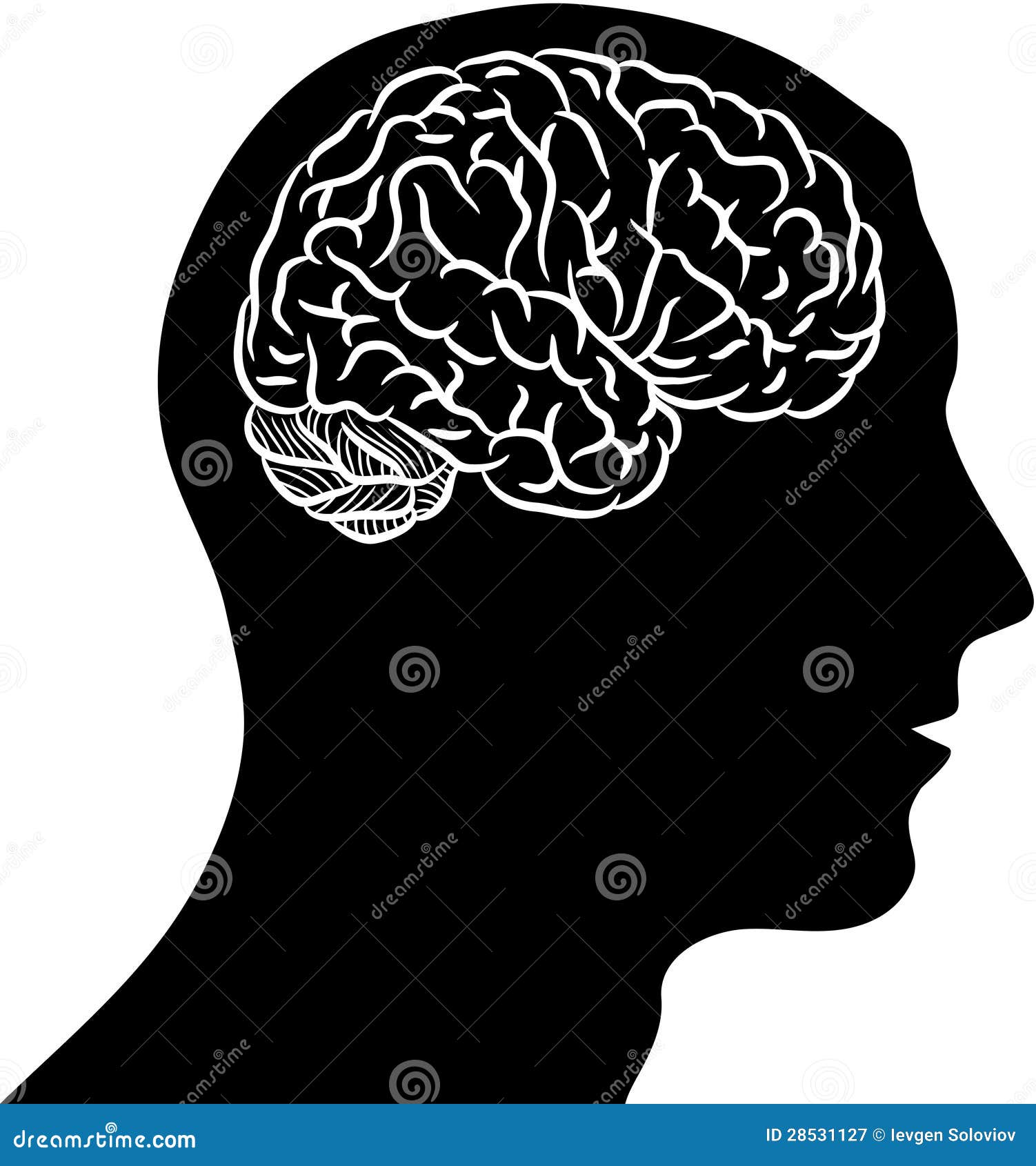 Brain in head stock vector. Illustration of concentration - 28531127