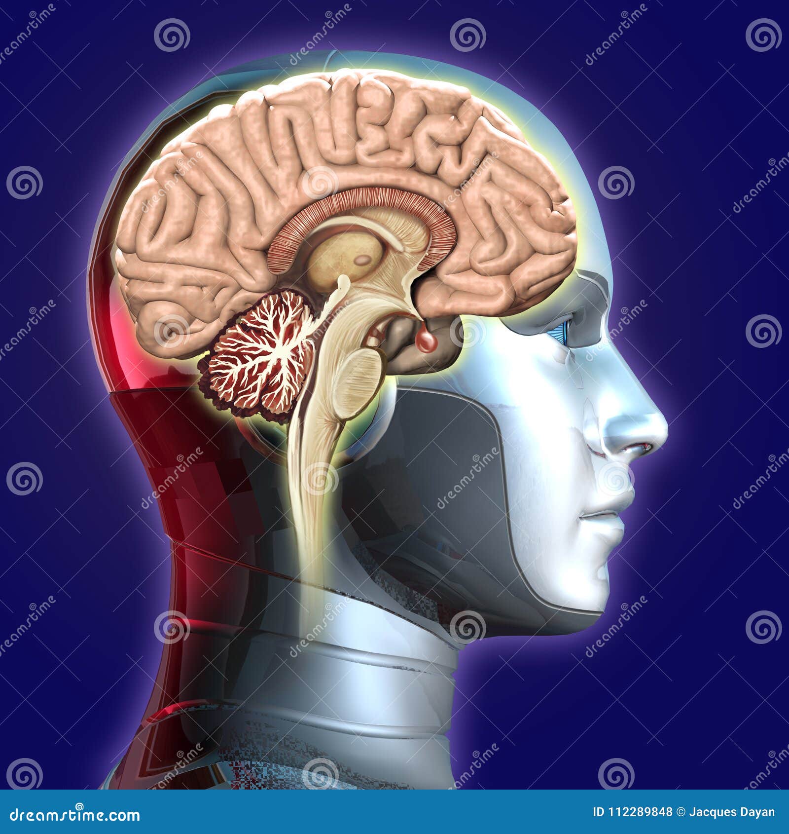 Brain on head robot stock illustration. Illustration of head - 112289848