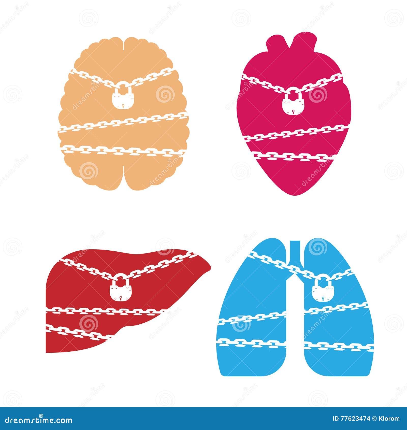 Brain, Heart, Liver, Lungs Closed on the Lock with Chains Stock Vector ...