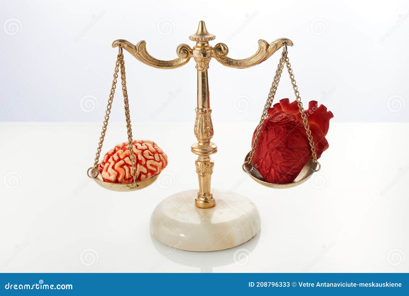 Brain and Heart on Scale Balance on White Background Stock Image ...