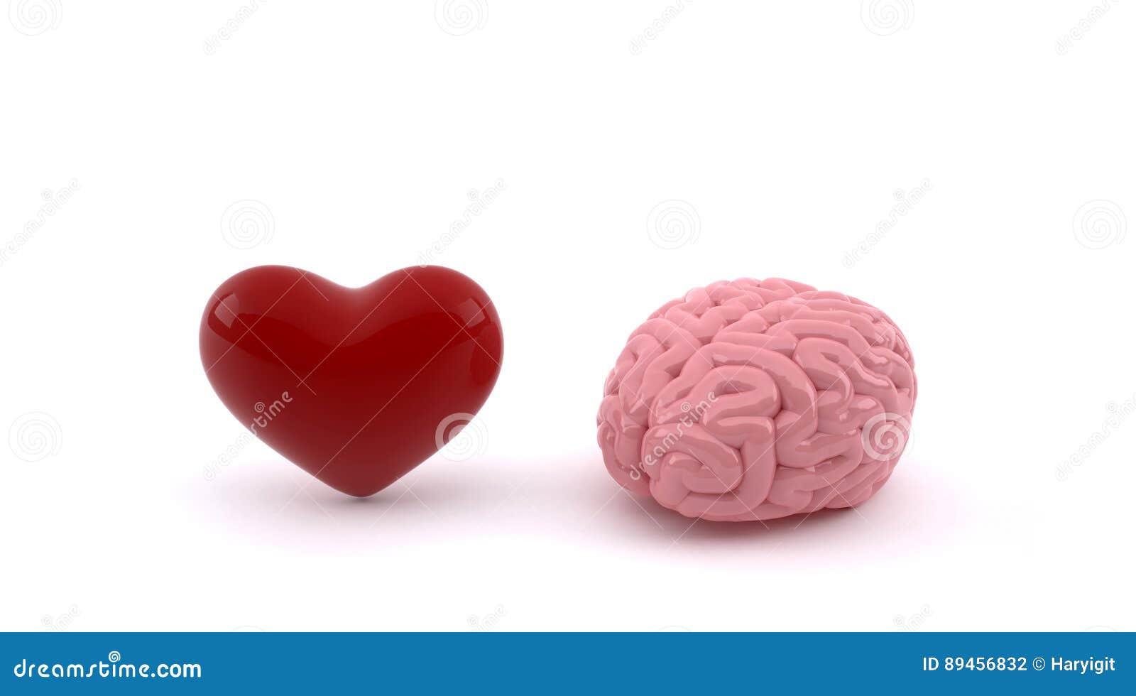 Brain and Heart on White Background. Stock Illustration - Illustration ...