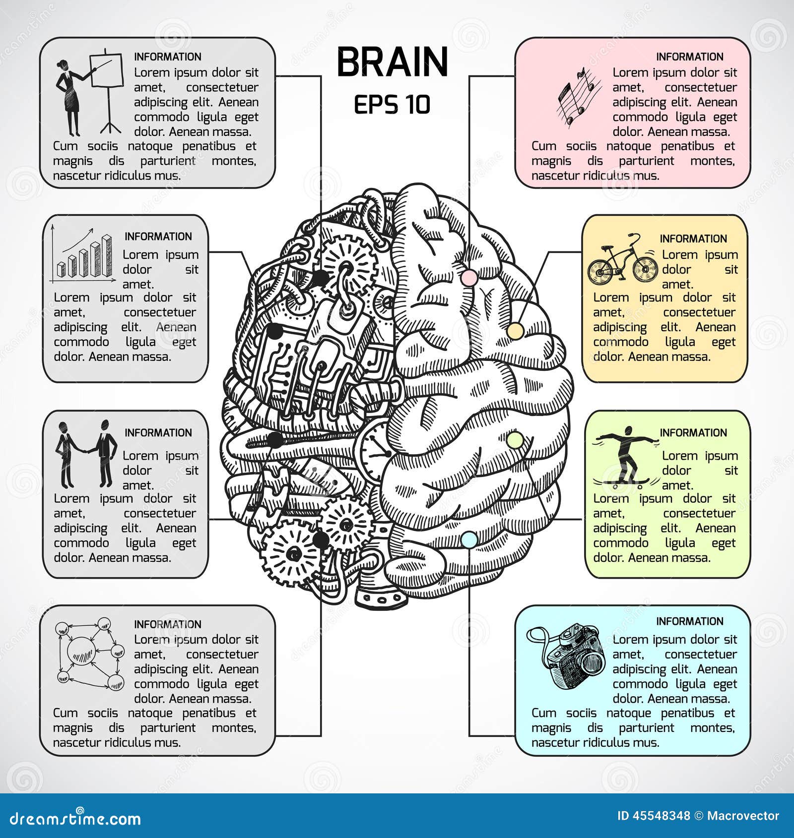 Brain Hemispheres Sketch Infographic Stock Vector - Illustration of ... Brain Hemispheres Sketch Infographic Stock Vector - Illustration of ...