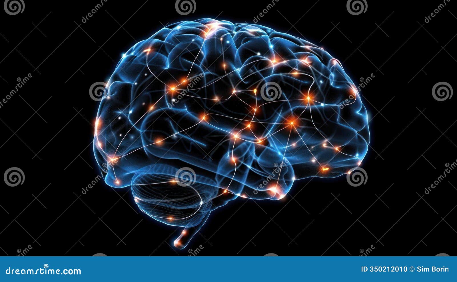 A Brain with Highlighted Areas To Indicate Heightened Focus Stock ...