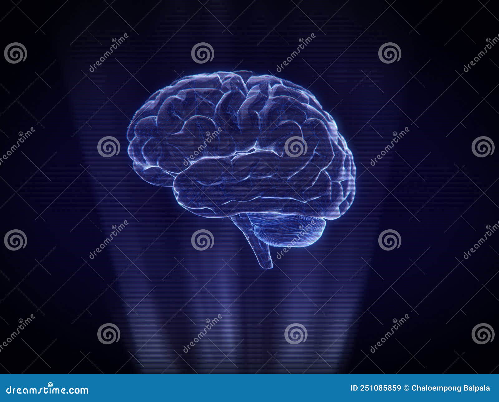 The Brain of Hologram Wireframe Style. Stock Illustration ...