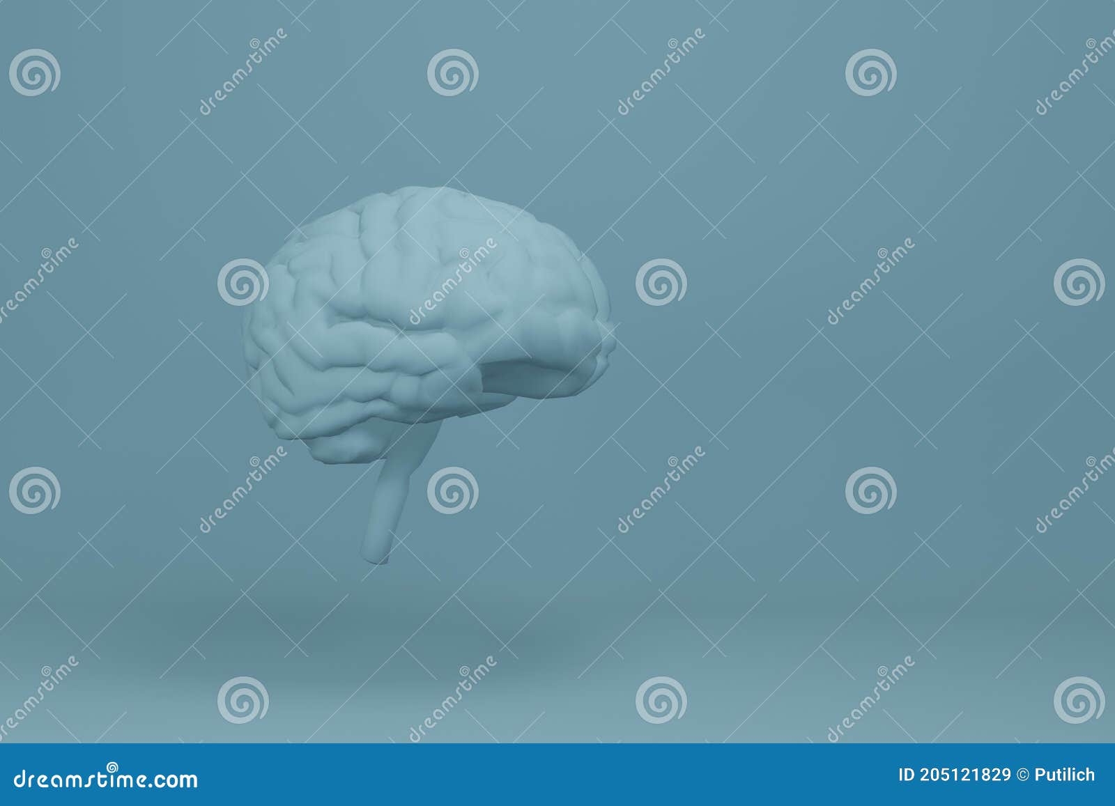 Brain Human Anatomy 3D - Isolated Brain Anatomy Structure. Illustration ...