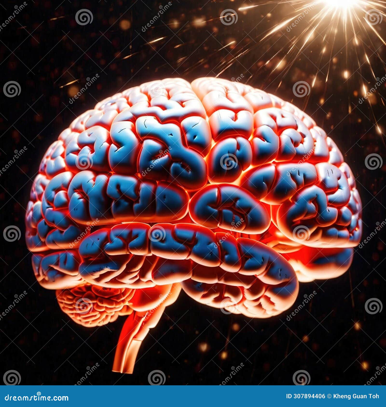 Brain, Human Body Part that Does the Thinking Stock Illustration ...