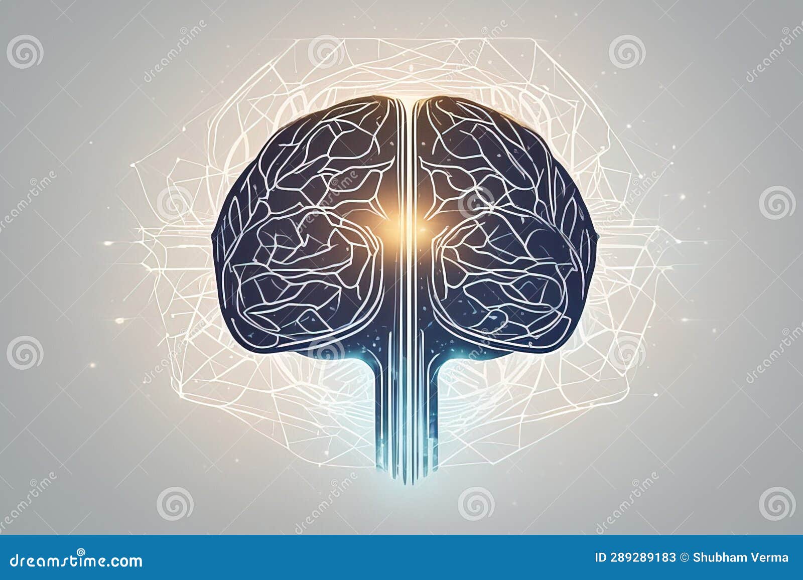 Brain and Human Brainbrain and Human Brainhuman Brain and Brain Symbol ...