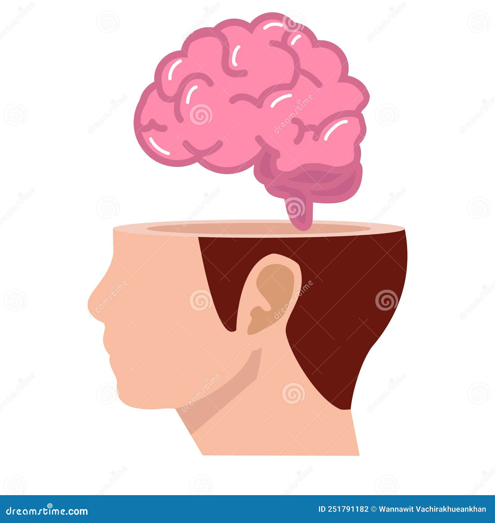 Brain in the Human Head Think Design Vector Stock Vector - Illustration ...