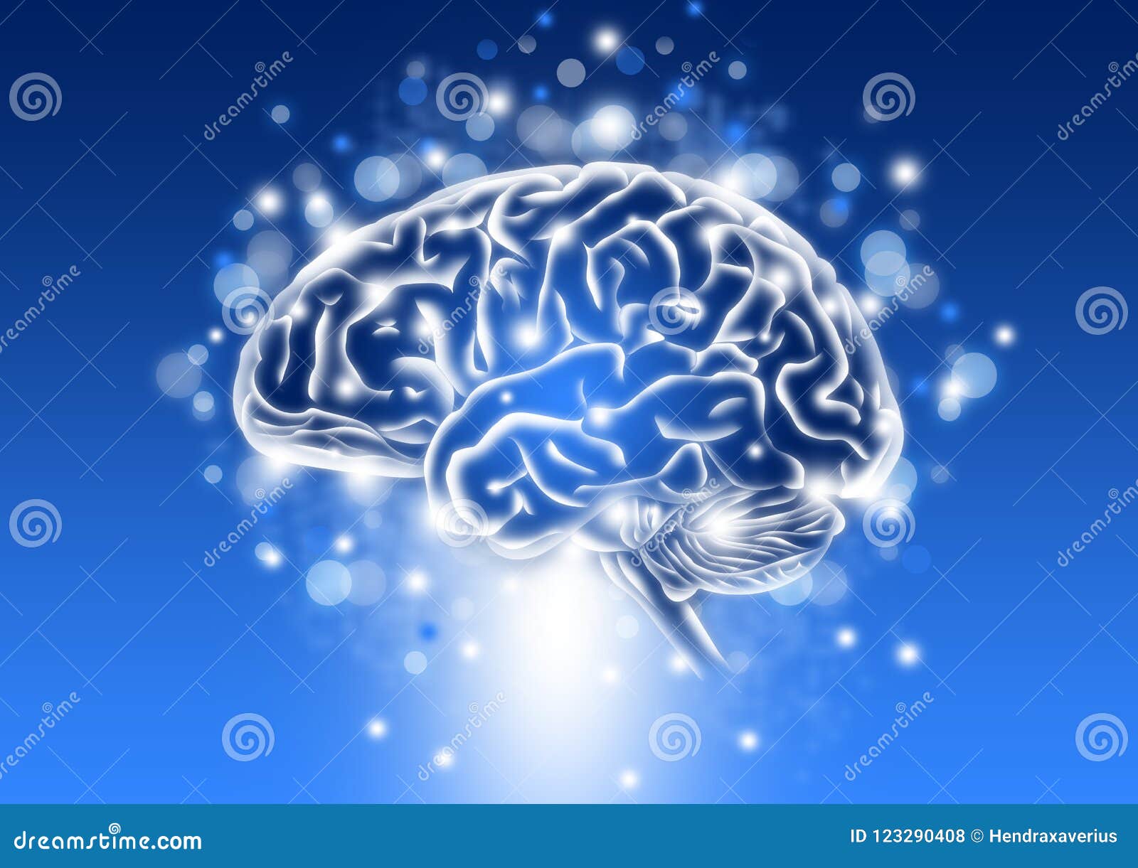 Brain - Human Intelligence Concept Stock Illustration - Illustration of ...