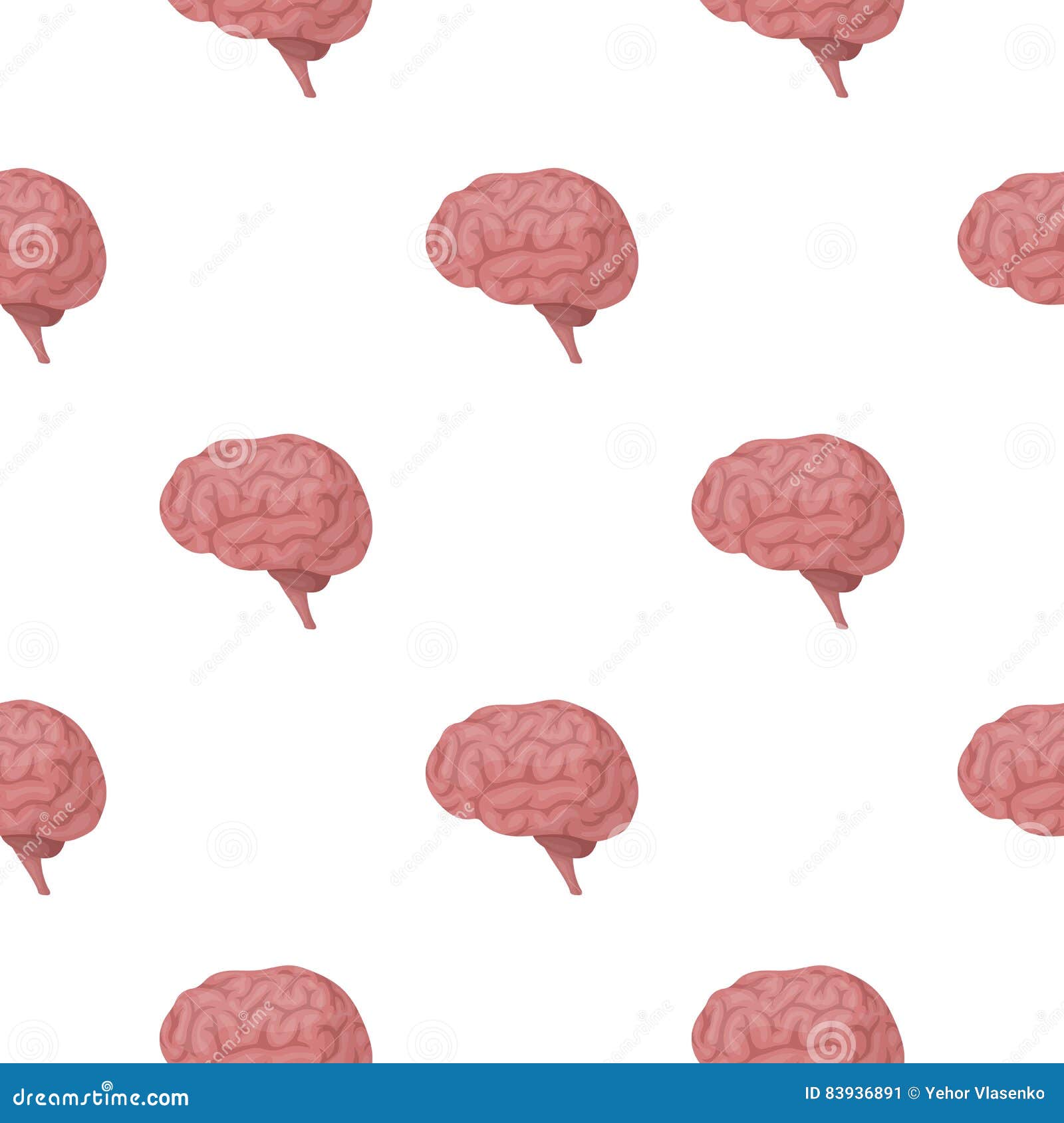 Brain Icon in Cartoon Style Isolated on White Background. Organs ...