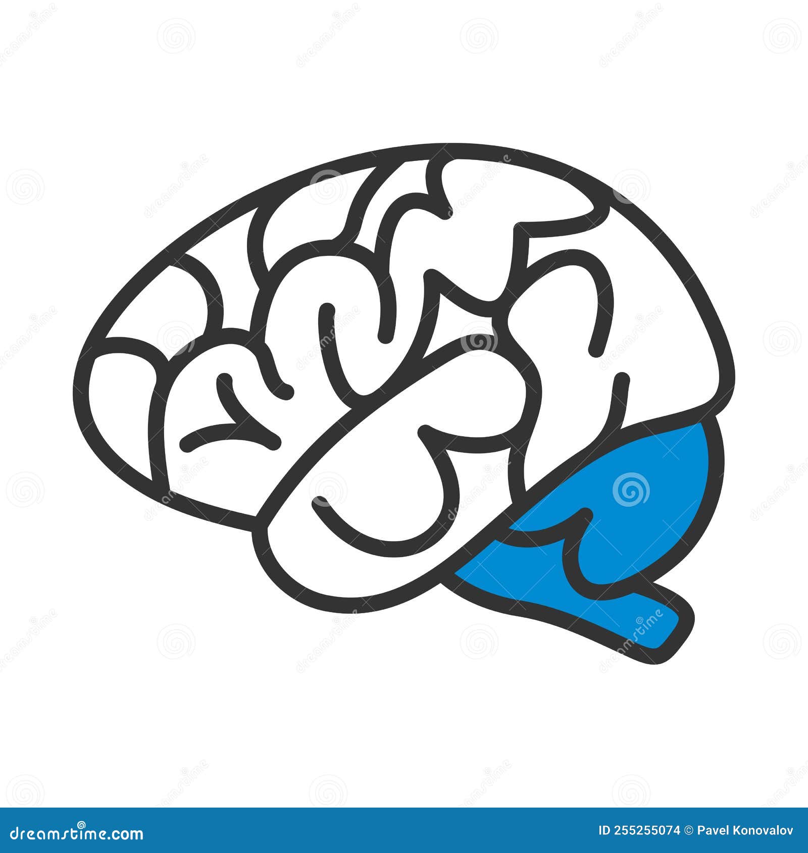 Brain Icon stock vector. Illustration of human, intelligence - 255255074