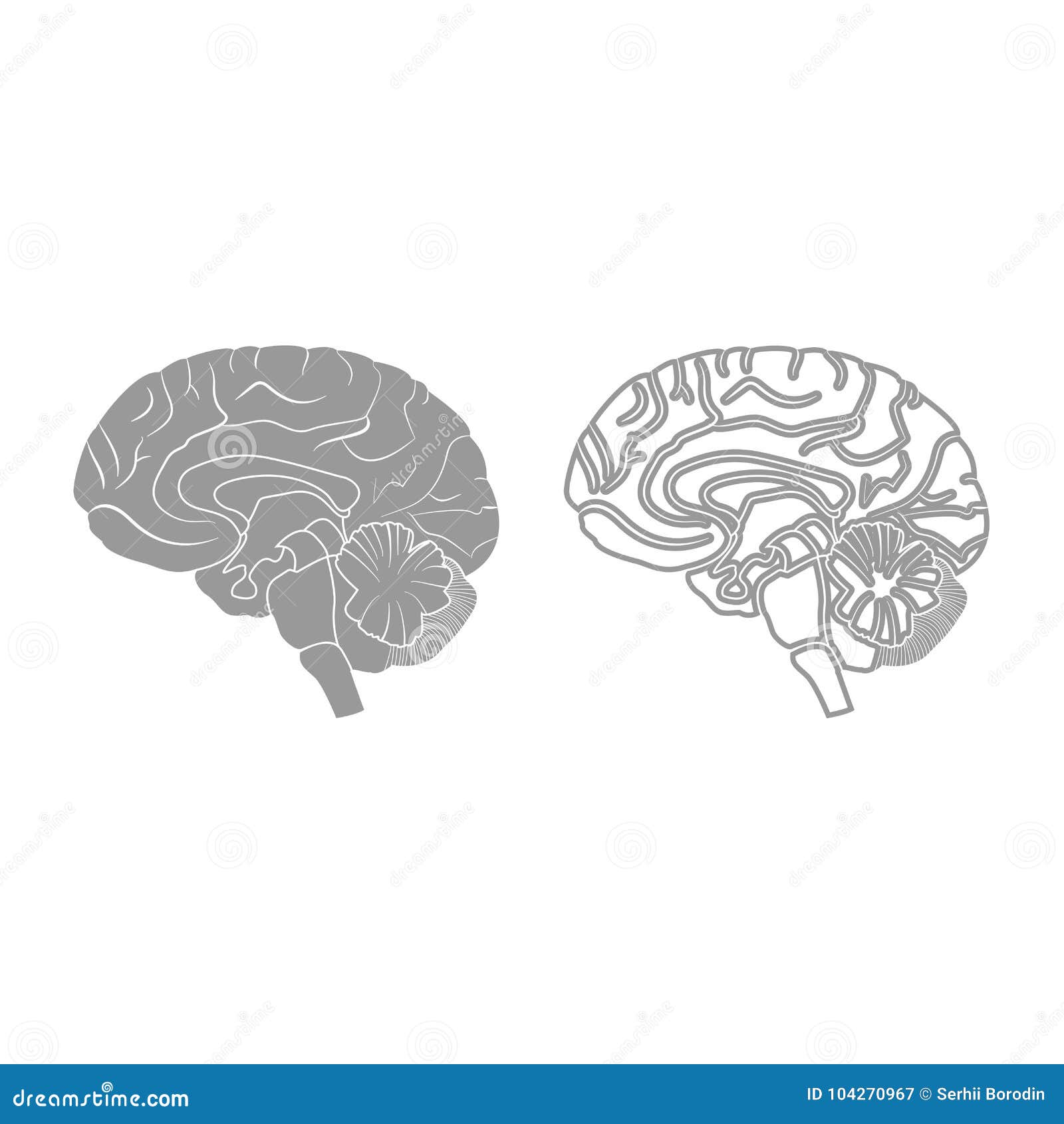 Brain icon. Grey set . stock vector. Illustration of grey - 104270967