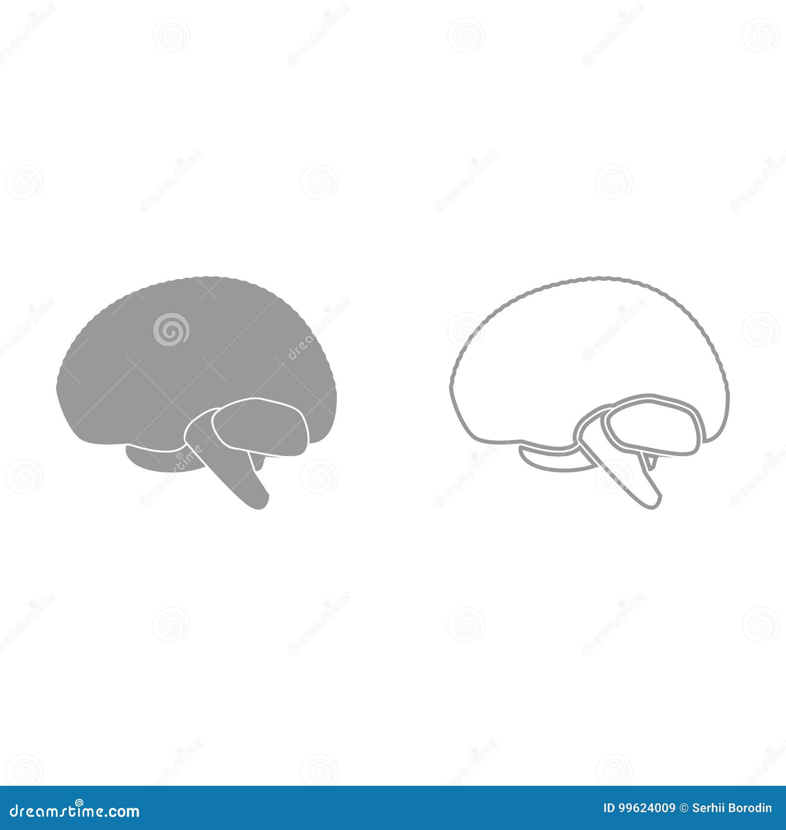 Brain it is icon . stock vector. Illustration of pictogram - 99624009