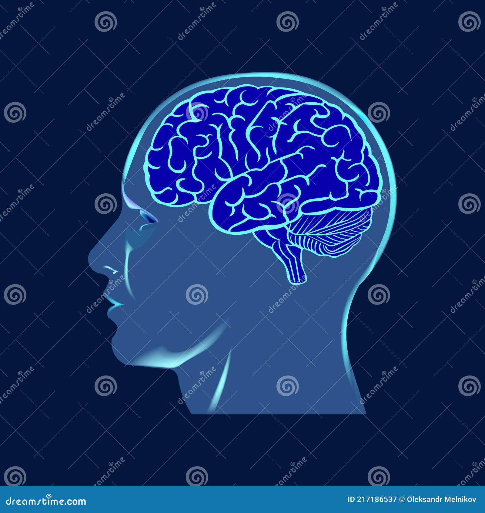 Brain Icon. Head Profile. Illustration for Human Anatomy. Sign of Logic ...