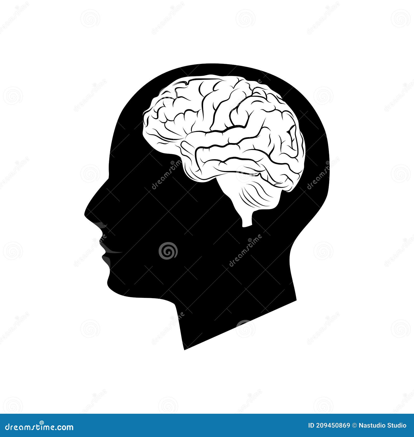 Brain Icon in Head on White Background Vector Illustration Stock Vector ...