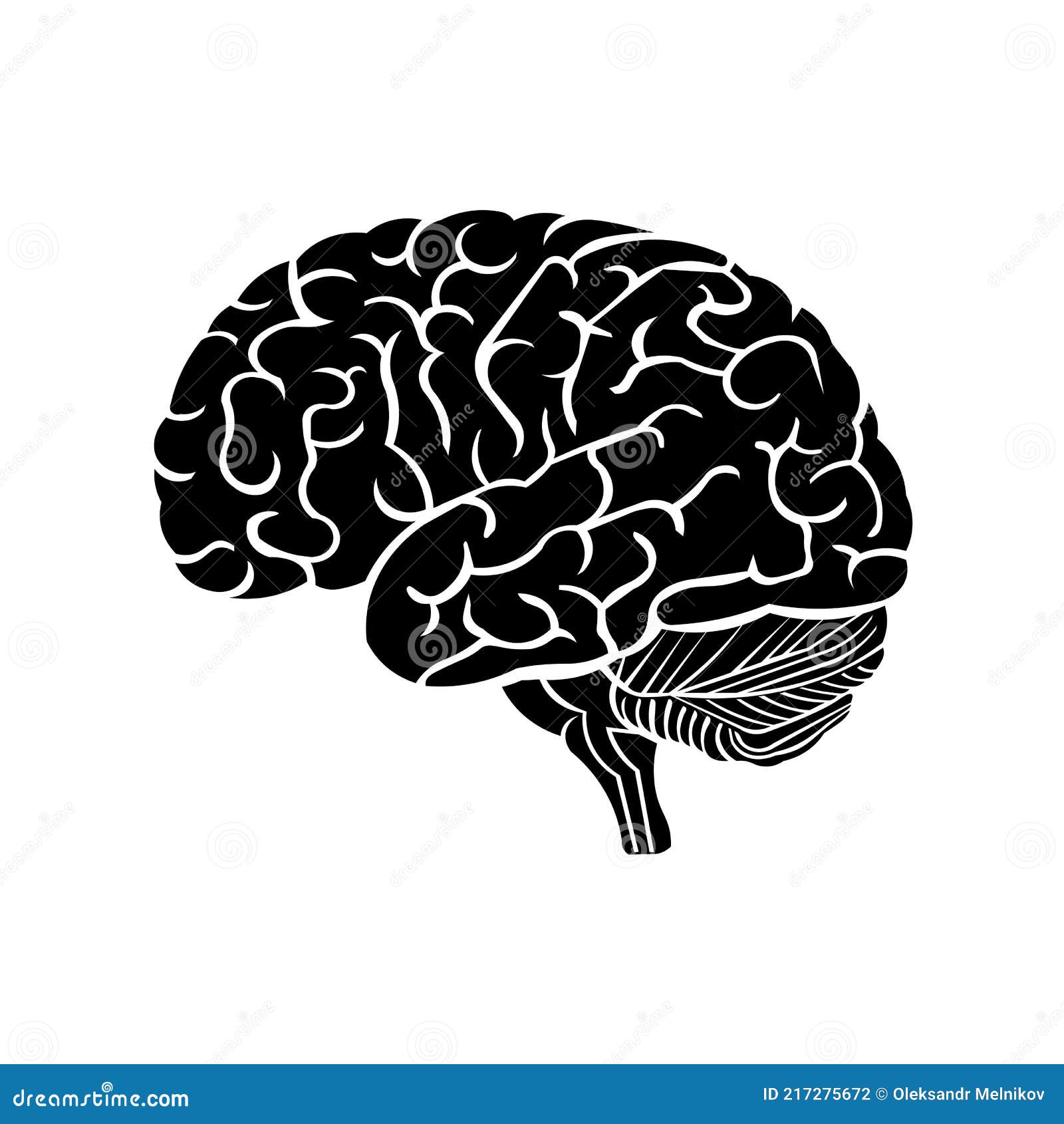 Brain Icon. Illustration for Human Anatomy. Problem Solving Symbol ...