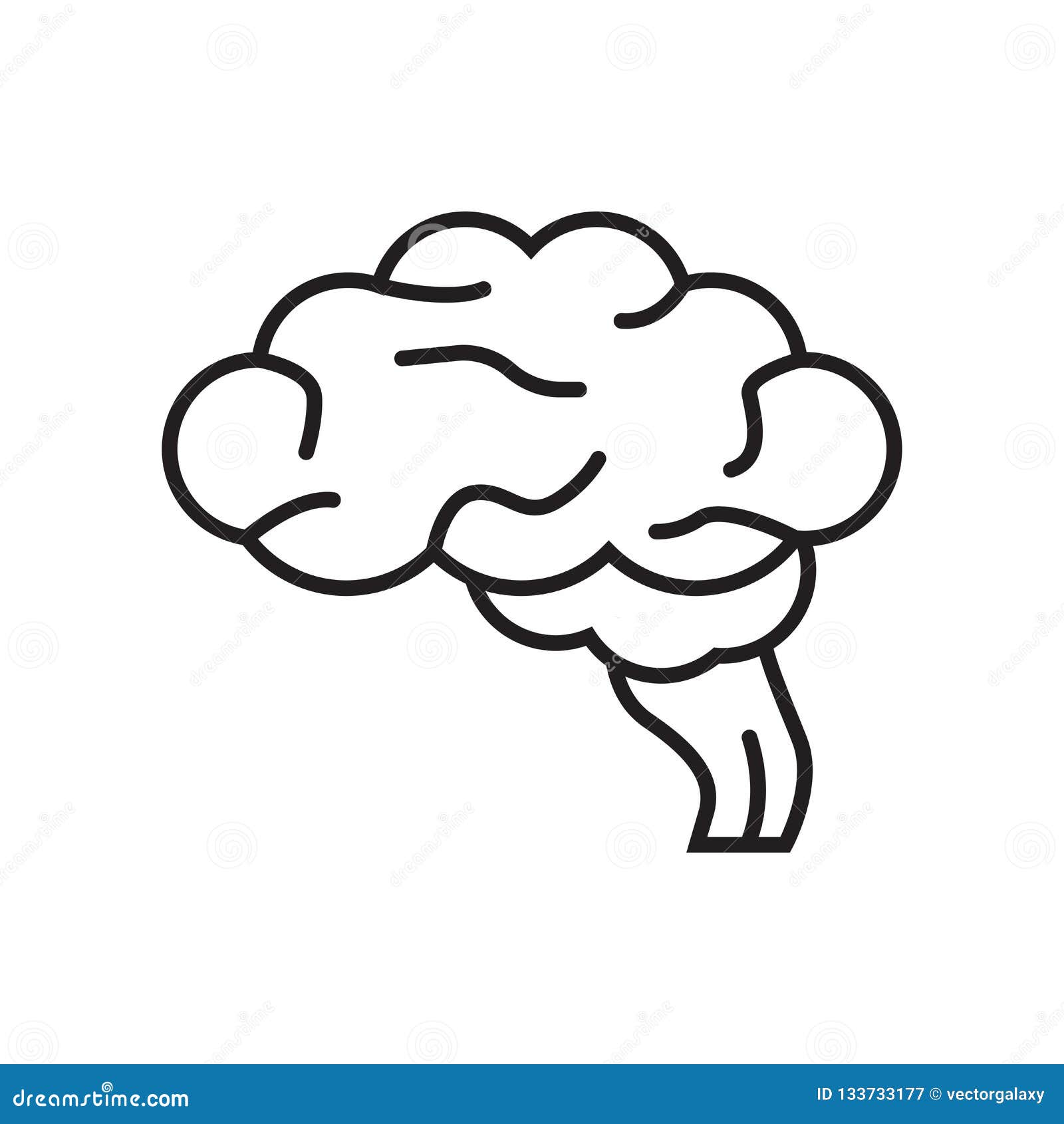 Brain Icon Vector Sign and Symbol Isolated on White Background Stock ...