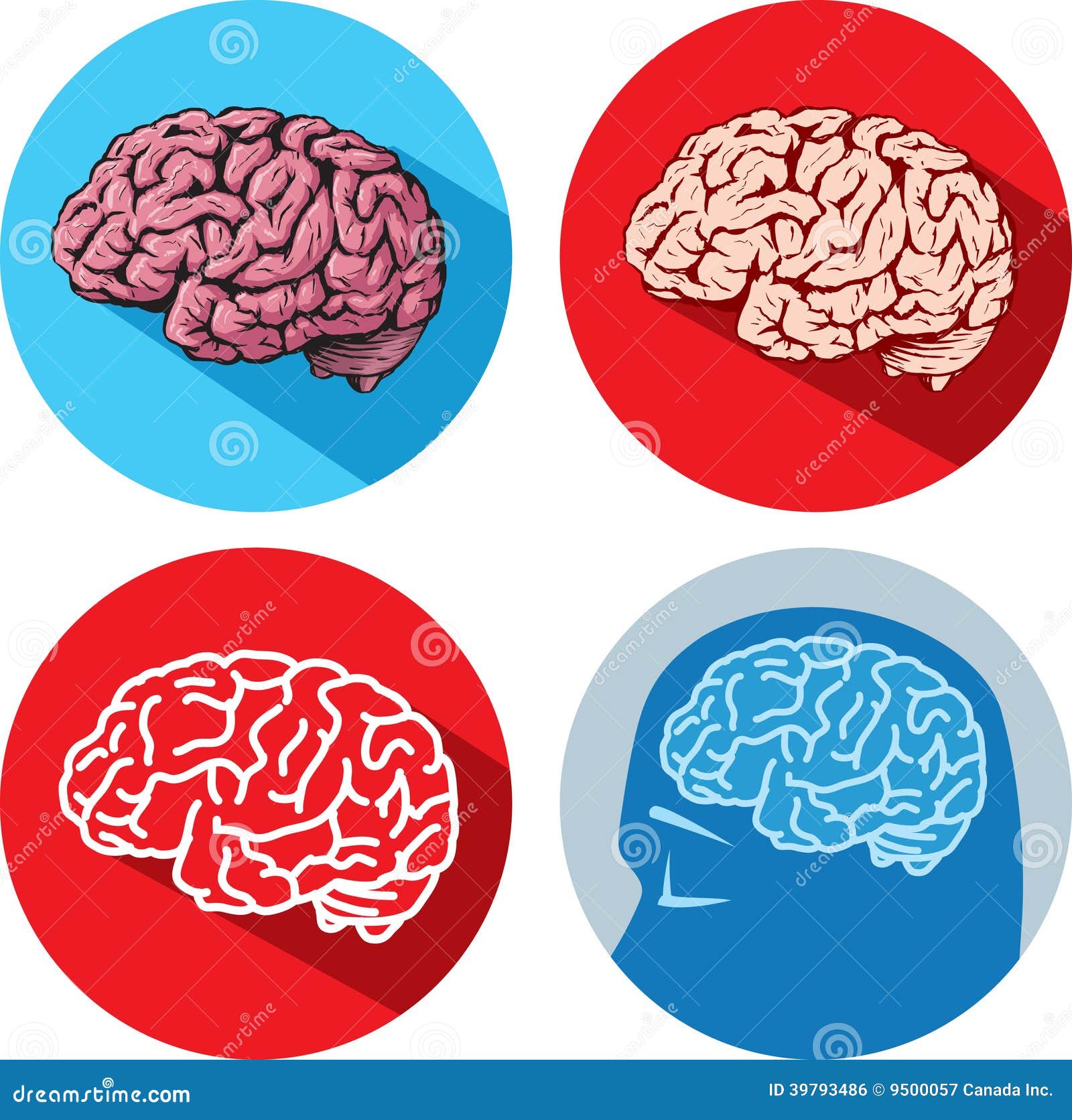 Brain icons stock vector. Illustration of stem, organ - 39793486